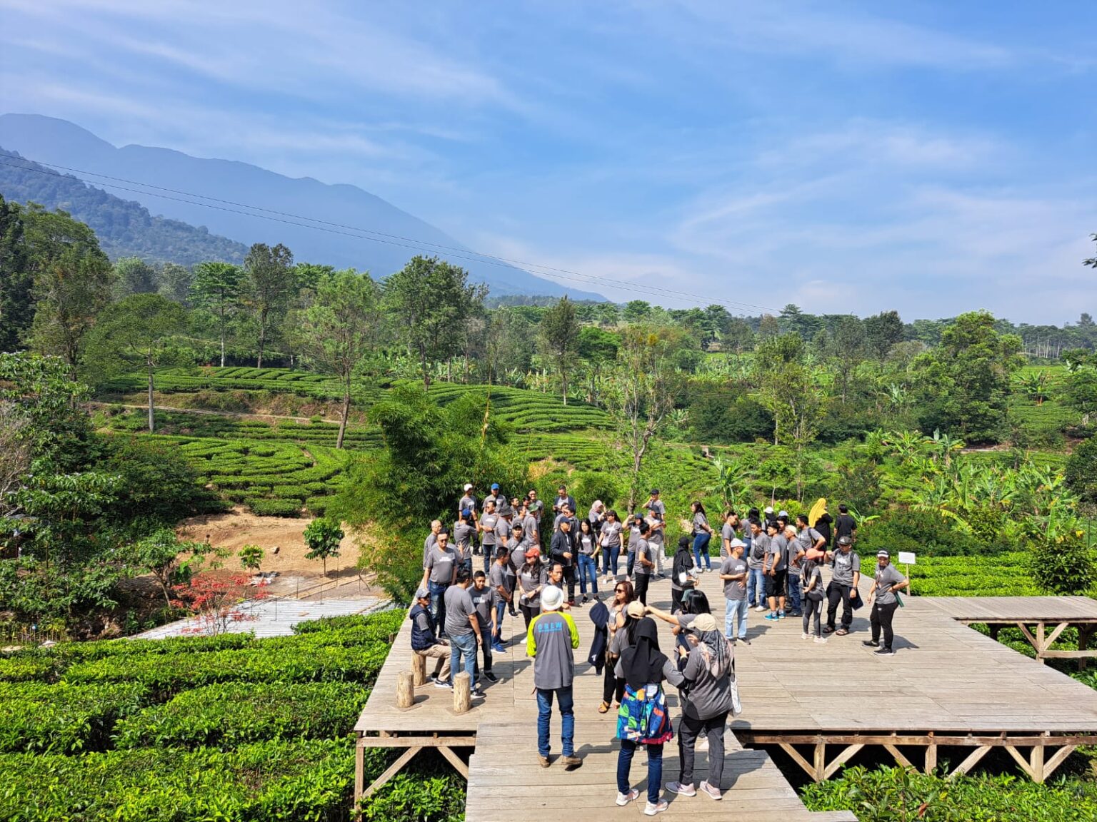 Harga tiket masuk gunung mas puncak - Wisata Puncak Bogor 1